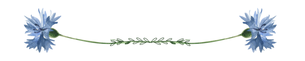 MND Queensland - Event - Blue Cornflower Tribute Ceremony 2024