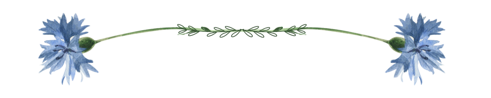 MND Queensland - Event - Blue Cornflower Tribute Ceremony 2024