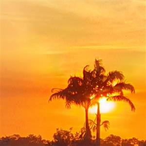 MND Queensland - Athena Walker